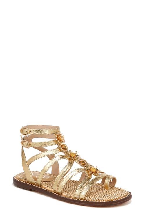 Sam Edelman Tianna Gladiator Sandal Print - Eureka Shopping
